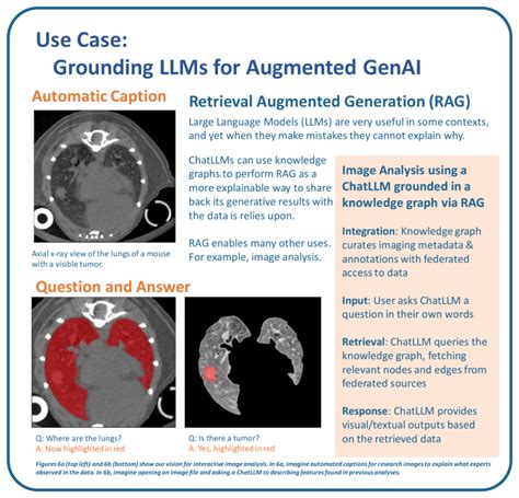 Knowledge Graphs Preclinical Imaging Testing