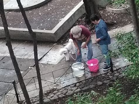 Trabajadores De La Cfe Rompieron Tubería Y Causaron Una Enorme Fuga De