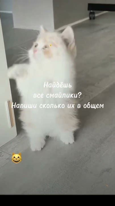 А сколько нашел ты котик пинтерест смайлики топ котенок милашка