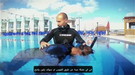 الغوص الحر تدريبات كتم النفس في الوضع الساكن Sta Youtube