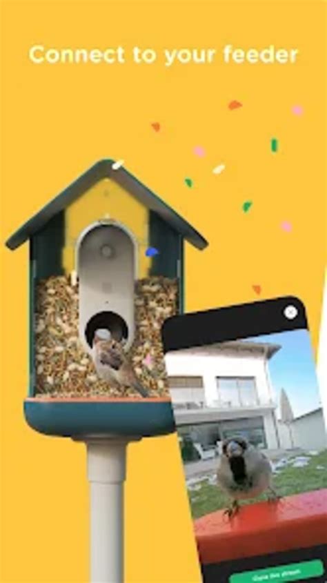 Bird Buddy Smart Bird Feeder For Android Download