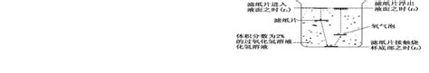 某同学欲通过下图所示的装置进行探究影响酶促反应速率 因素的实验，下列分析错误的是 A．滤纸上需附有过氧化氢酶 B．酶促反应速率可用滤纸片从烧杯