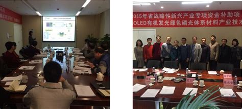 固安鼎材战略性新兴产业发展项目顺利通过验收 鼎材科技