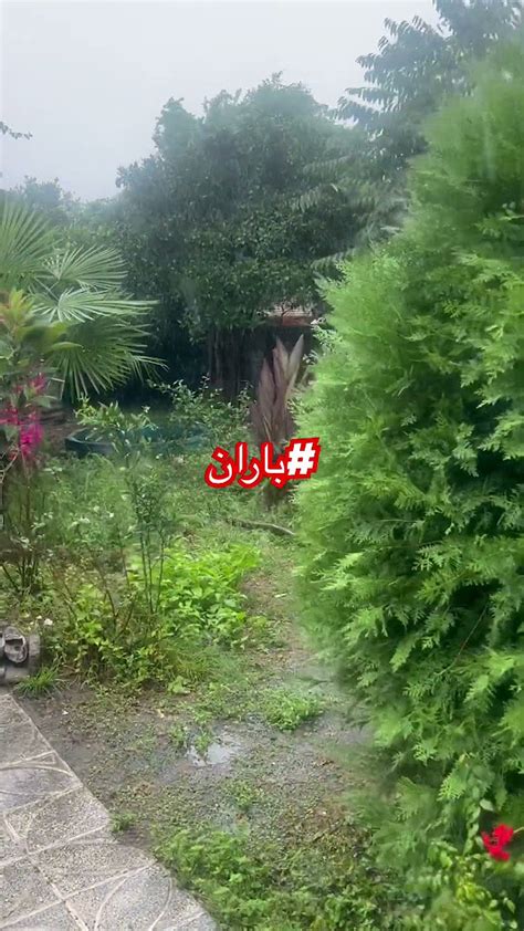 بارون خونه ی مادر 🧿 باران شمال طبیعت Youtube