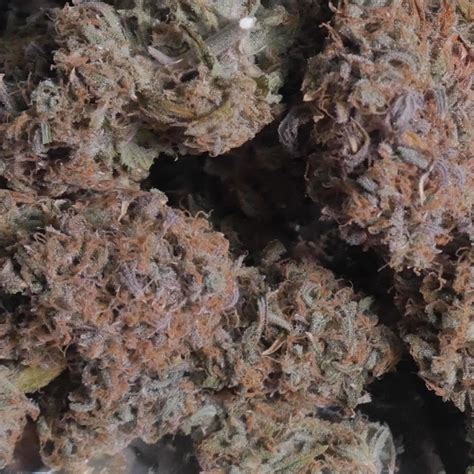 Plug Talk 101 Youtube