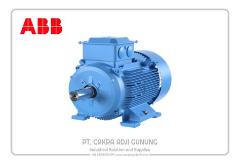 M2aa Ie1 Series Electric Motor Abb Adji Gunung Group