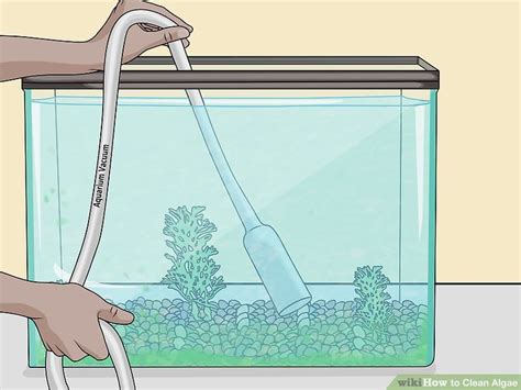 Ways To Clean Algae WikiHow