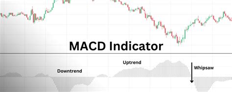 How To Use The MACD Indicator Blog