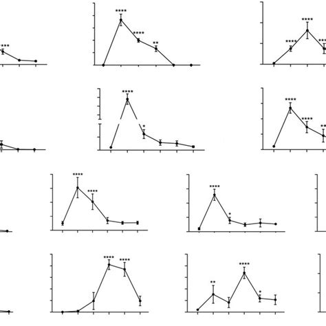 Different Macrophage Phenotypes Were Observed In The Induction And Download Scientific Diagram