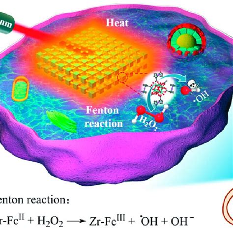 Formation Of A Shell Cross Linked Thermoresponsive Micelle Containing A Download Scientific