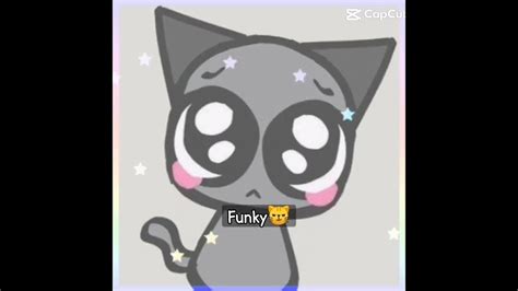 Spunki Spunki Get Funk Funk 🤯 Youtube