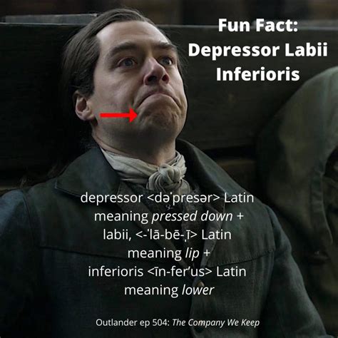 Fun Fact Depressor Labii Inferioris Outlander Anatomy