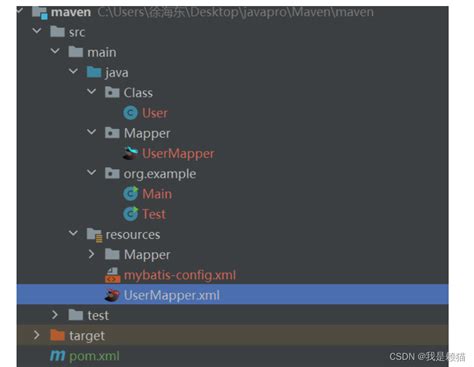 Mapper配置和代理开发 Csdn博客