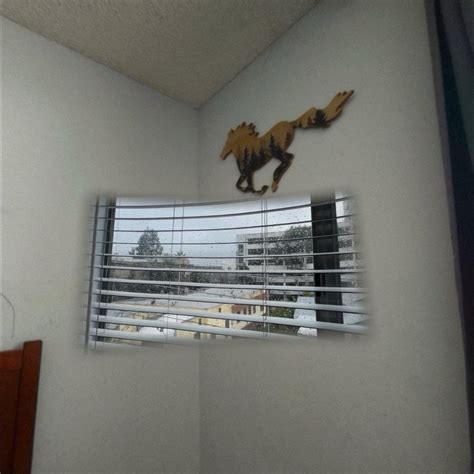 Spatial Videos In Meta Quest Pro And Meta Quest 3 Rquestpro