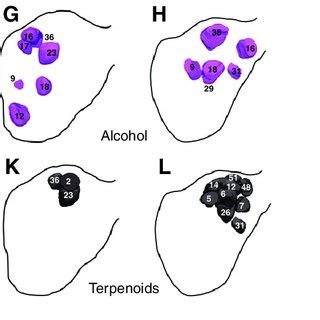 Chemical Structures Of The Test Compounds Sex Pheromone Components Download Scientific Diagram