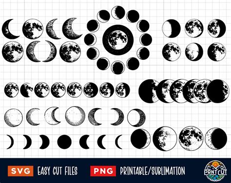8 Moon Svg Bundle Moon Phase SVG Png Lunar Phases Svg Moon Phase