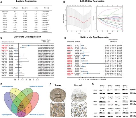 Analysis Of The Diagnostic And Prognostic Values Of Arls In Gc A