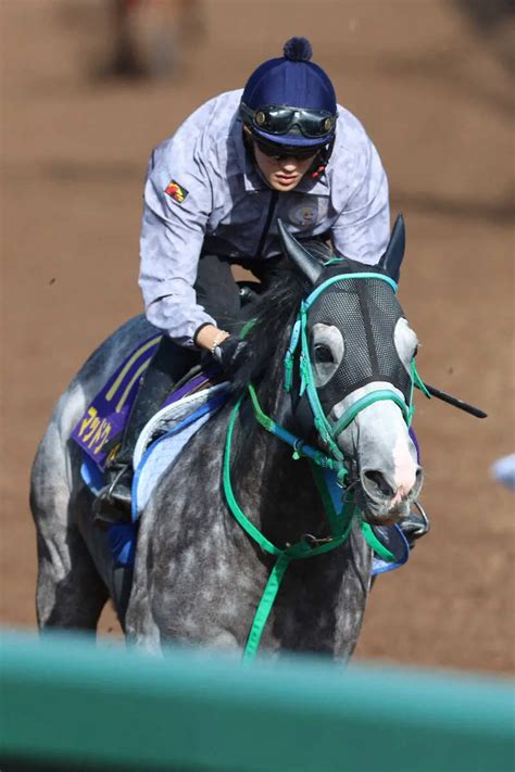 【スプリンターズs】マッドクール 馬場問わず スポニチ Sponichi Annex ギャンブル