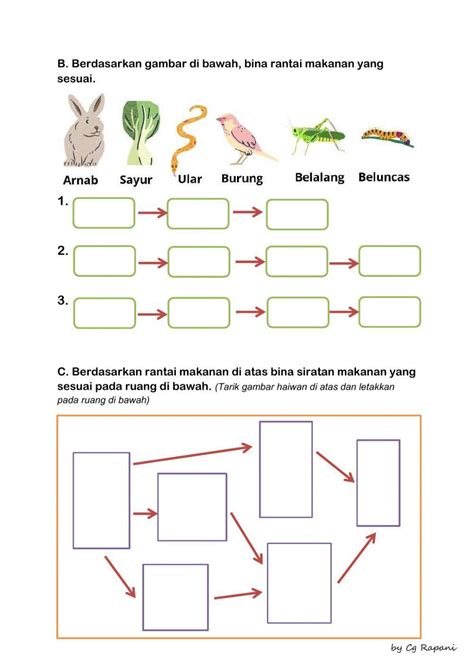 Latihan Rantai Makanan Interactive Worksheet Live Wor