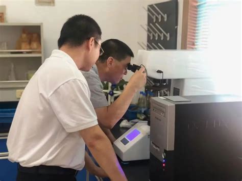 实干筑梦·劳模工匠说｜用极致服务打造幸福型企业——上海天阳澎湃号·政务澎湃新闻 The Paper