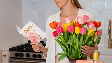 Daisy Facts History And Symbolism Petal Talk