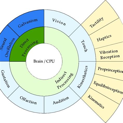 Taxonomy Of Interaction Modalities Proposed By Augstein And Neumayr 29 Download Scientific