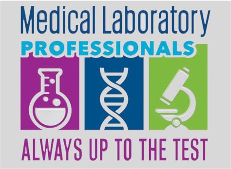 Rony Ayoub On Linkedin Laboratory