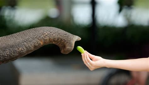 Bad News Hadoop Is Dead