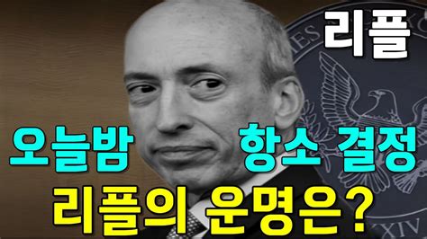 리플 Sec 오늘 비공개 회의에서 항소 결정한다 이번 주말 리플의 방향성 나온다 Youtube