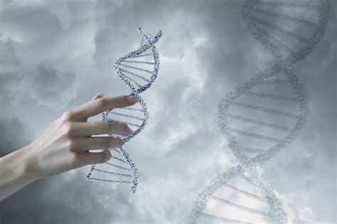 The Concept Of Interrelation At The Molecular Level Stock Image Image Of Adaptation Growth