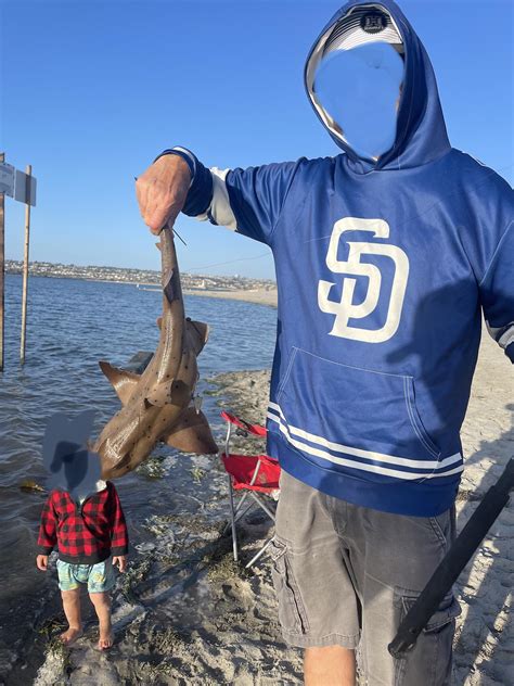 Horn Shark R Fishing