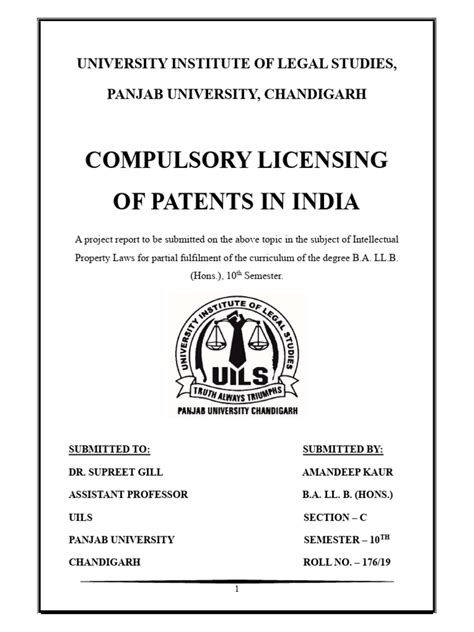 Ipr Project Pdf Trips Agreement Patent