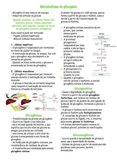 Solution Metabolismo Do Glicogênio Studypool