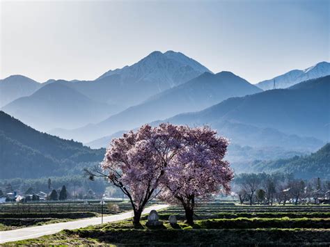 By K A Id Photohito