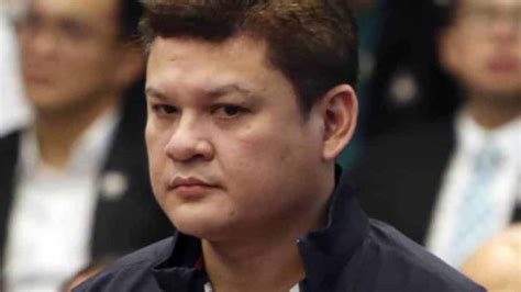Napolcom No Politics In Probing Cops Serving Paolo Duterte