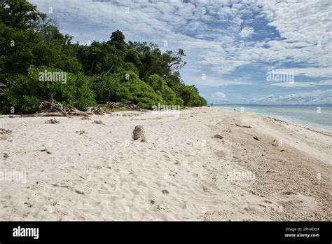 An Idyllic White Sand Beach Of Tiny Mantigue Island Near Camiguin In