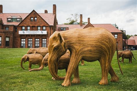 The Great Elephant Migration Is Coming To Newport 100 Life Sized