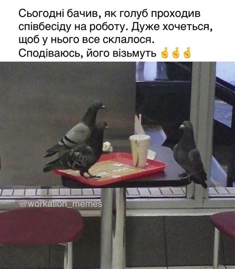 Alexander Berezovskyi On Linkedin Recruiter Hire Hiring Work Job