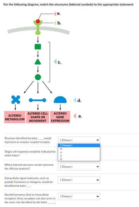 solved for the following diagram match the structures