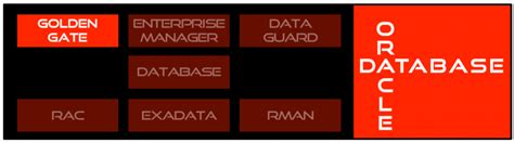 Oracle GoldenGate Arc DBA Consulting
