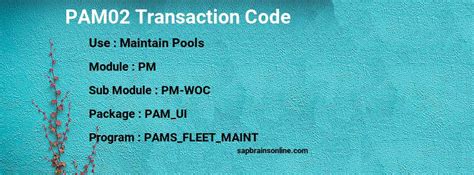 PAM02 SAP Tcode For Maintain Pools