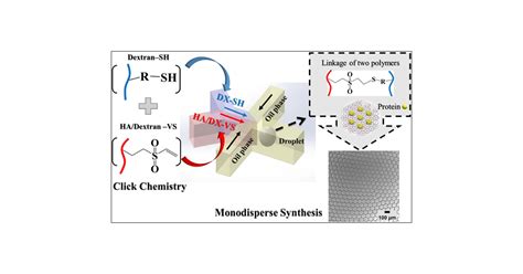Droplet Based Microfluidic Synthesis Of Hydrogel Microparticles Via Click Chemistry Based Cross