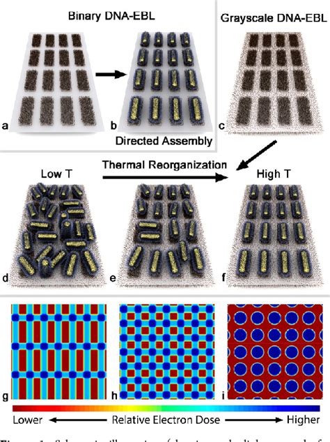 Figure 1 From Stimuli Responsive Dna Linked Nanoparticle Arrays As
