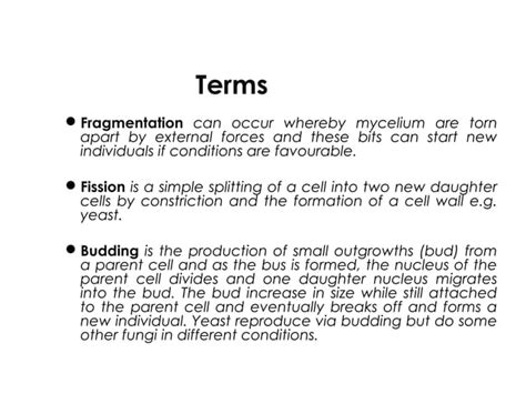 Fungal Spore 1 Ppt