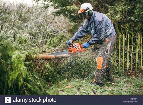 Man Cutting Tree High Resolution Stock Photography And Images Alamy