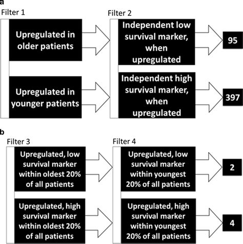 Diagrams Depicting The Sorting Process Of Genes To Identify Download Scientific Diagram