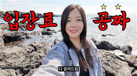 물가 비싼 제주도에서 저렴하게 여행하는 방법 Youtube