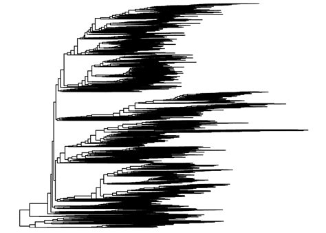 11 Microbiome Analysis Introduction To R For Bigcare 2024