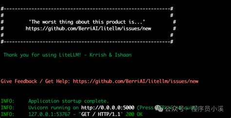 OpenAI API模拟利器Litellm 知乎