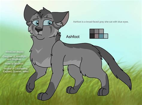 Warriors Design Ashfoot 2022 By Thedawnmist On Deviantart